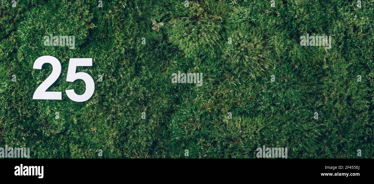 Green grass, digit twenty-five. Birthday greeting card with inscription ...