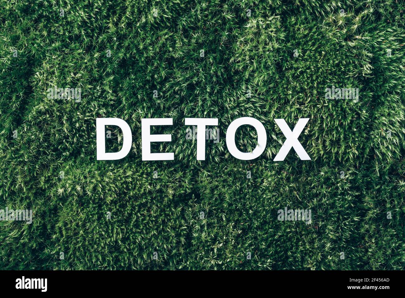 Word Detox on moss, green grass background. Top view. Copy space ...