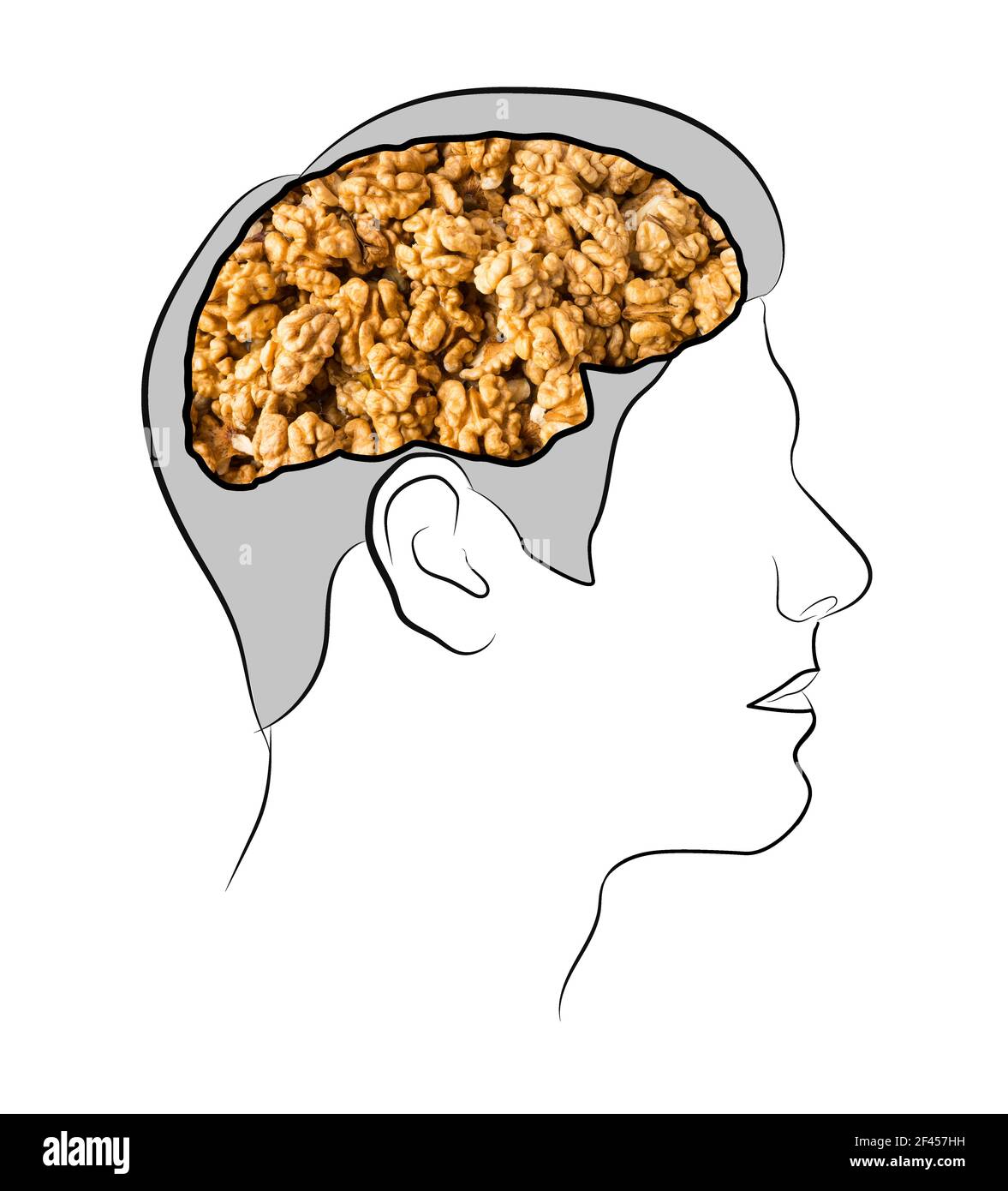 Walnut As Brain
