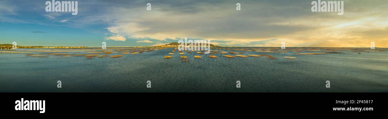 Aerial panoramic of the Thau lagoon and its oyster tables, in Occitanie ...