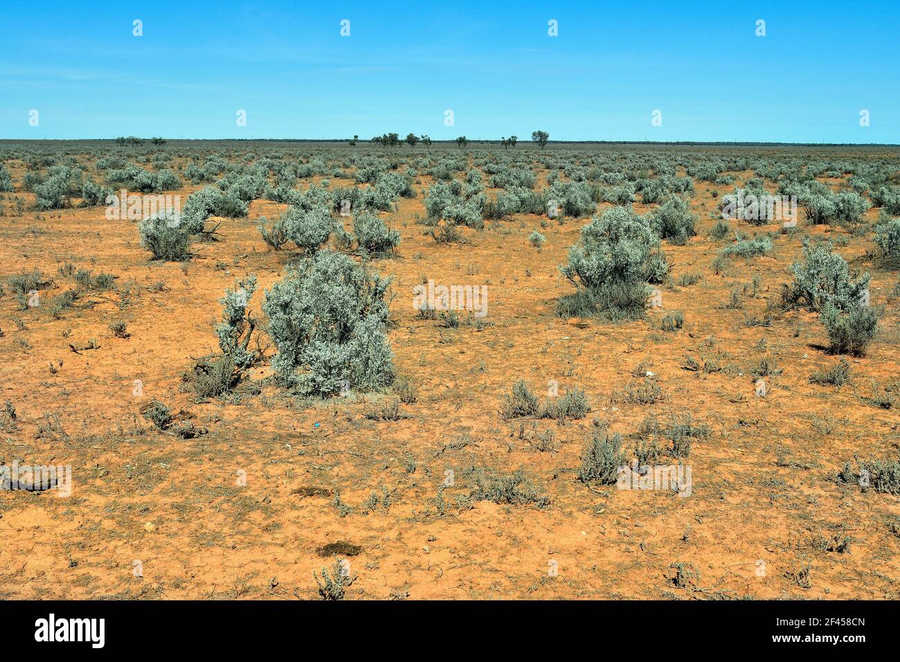 Australia, landscape with bushes in Victoria Stock Photo - Alamy