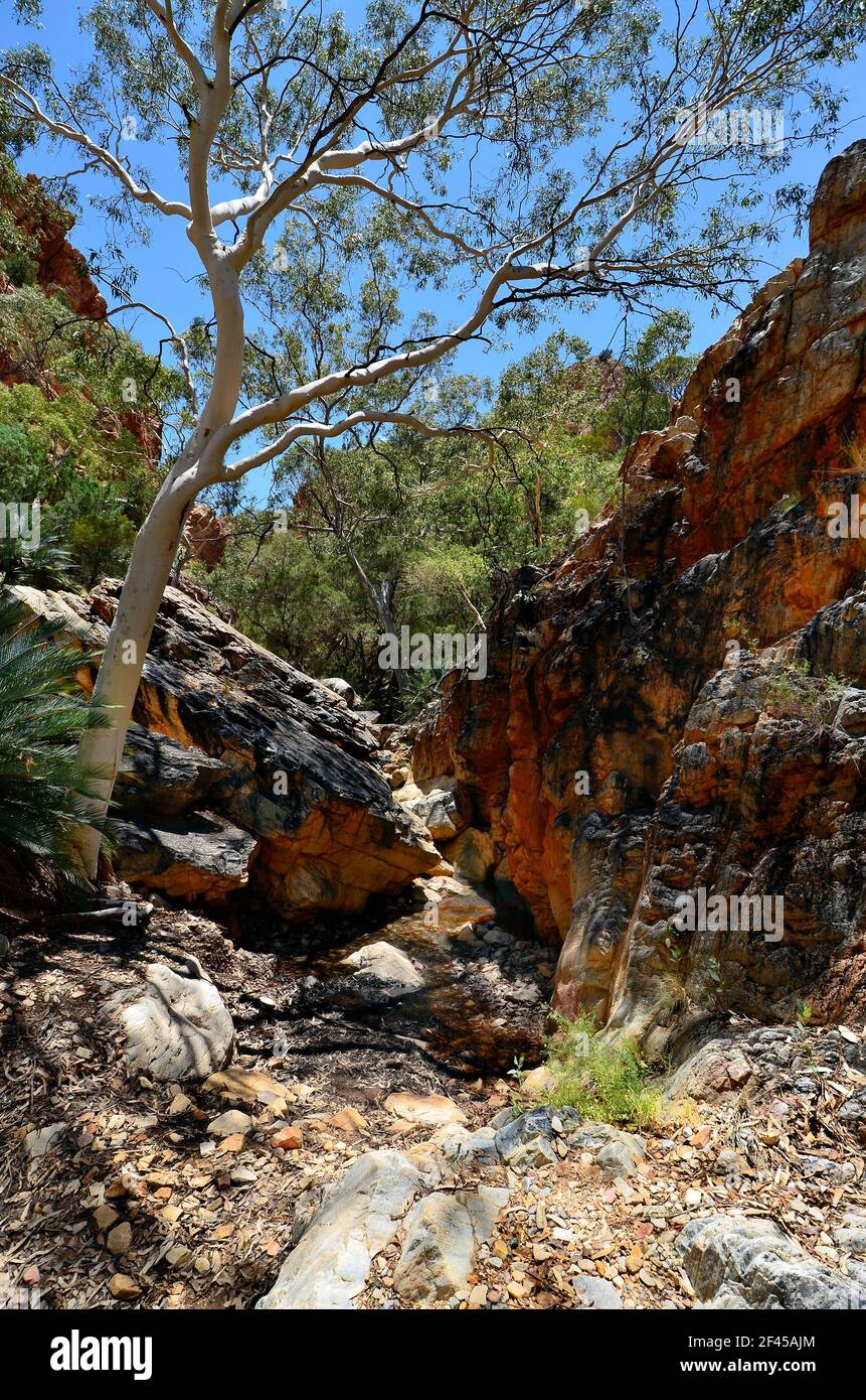Australia, NT, Standley Chasm in McDonnell Range national park Stock ...