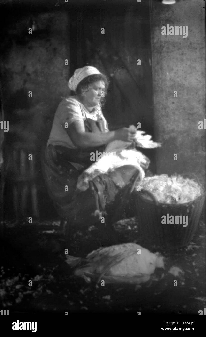 In "Geese Ruppen" in the Sander-Good Stock Photo - Alamy