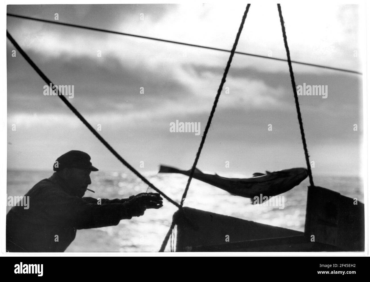 Fishing boat at work Cut Out Stock Images & Pictures - Alamy