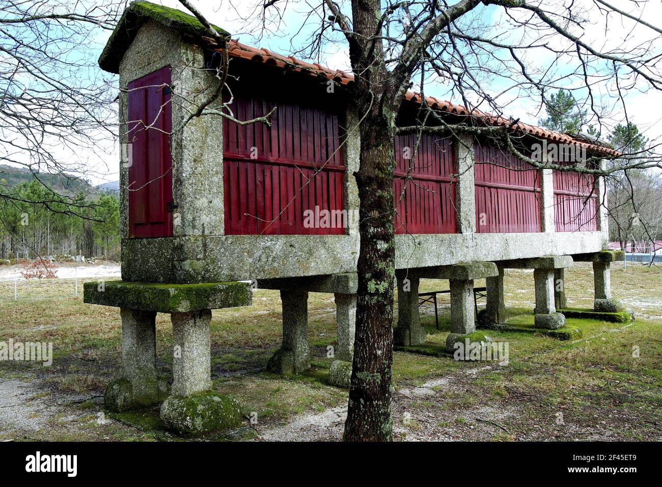 A beautiful view of an old red stone building with moss in the park ...