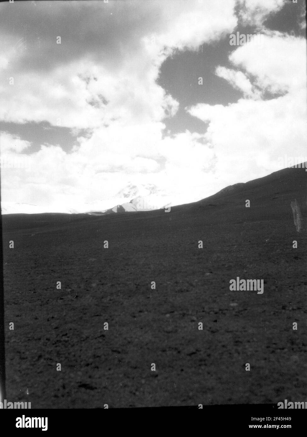 India. Kashmir. Ladakh. Agil-Karakorum. On the Dapsang plateau (5400 m ...