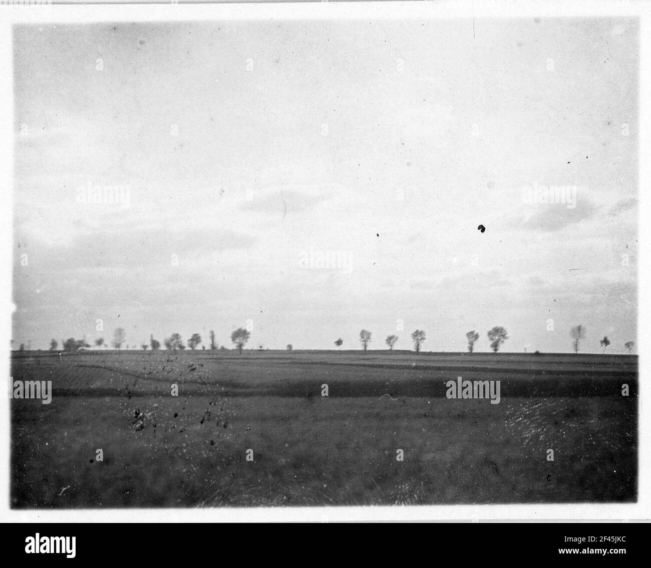 Land breed Black and White Stock Photos & Images - Alamy