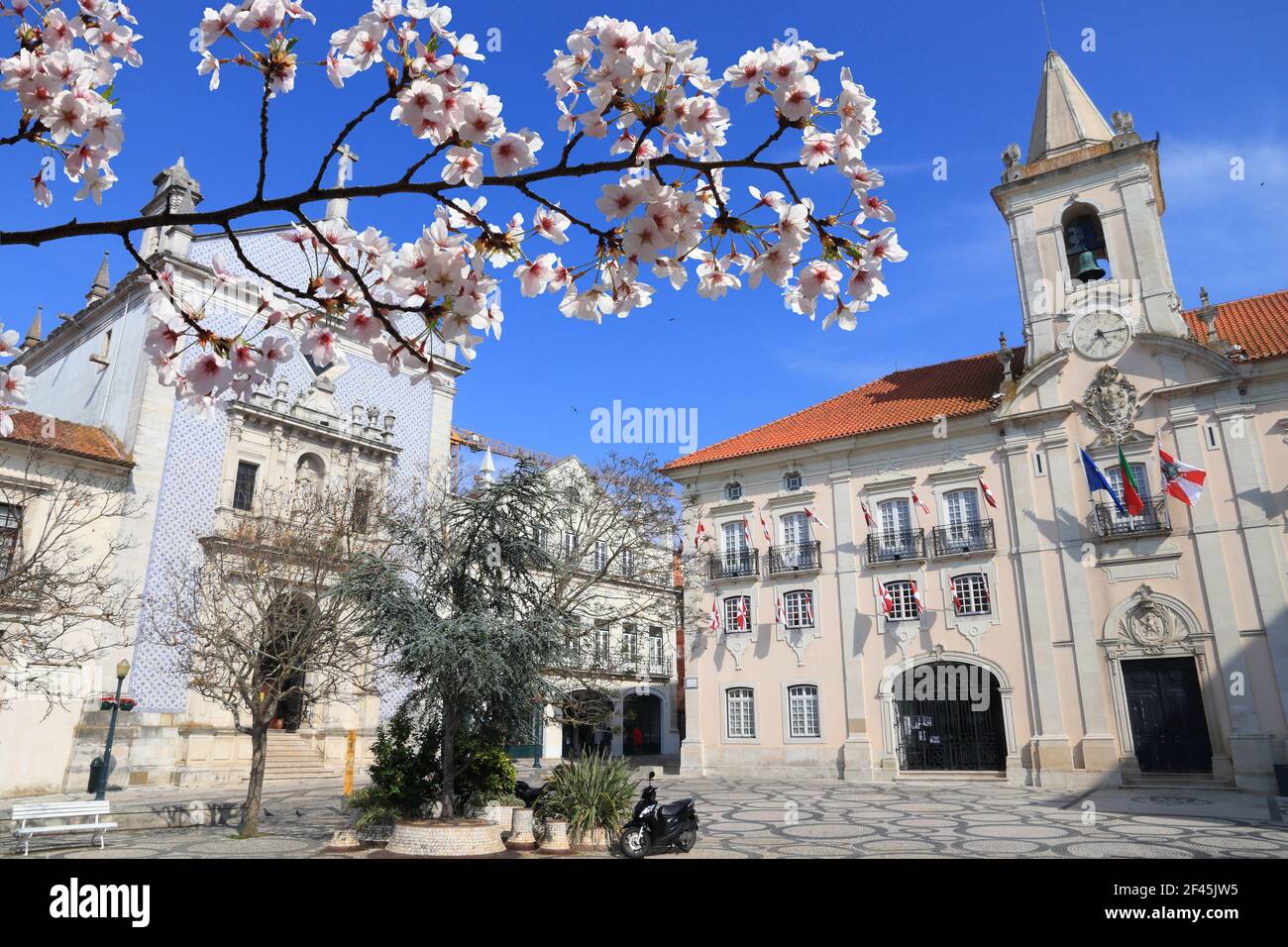 Spring in Portugal. Spring time cherry blossoms in Aveiro, Portugal ...