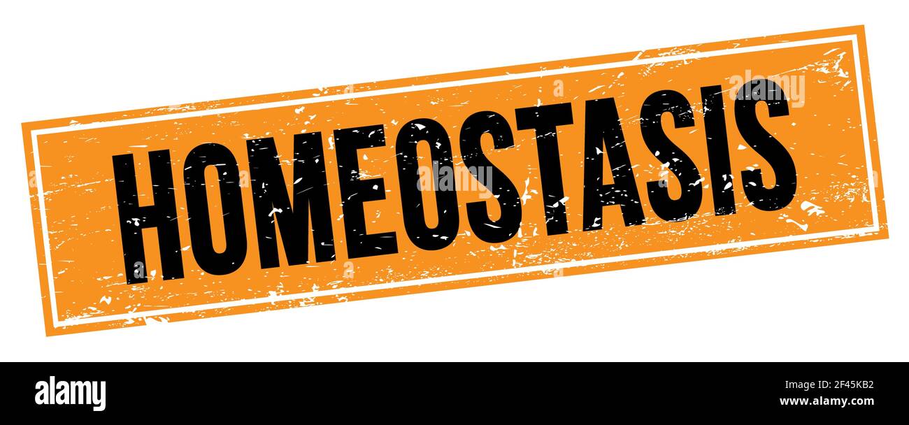 HOMEOSTASIS text on black orange grungy rectangle stamp sign Stock ...