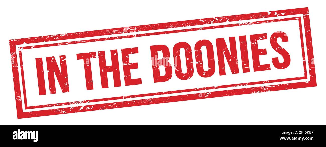 IN THE BOONIES text on red grungy vintage rectangle stamp Stock Photo ...