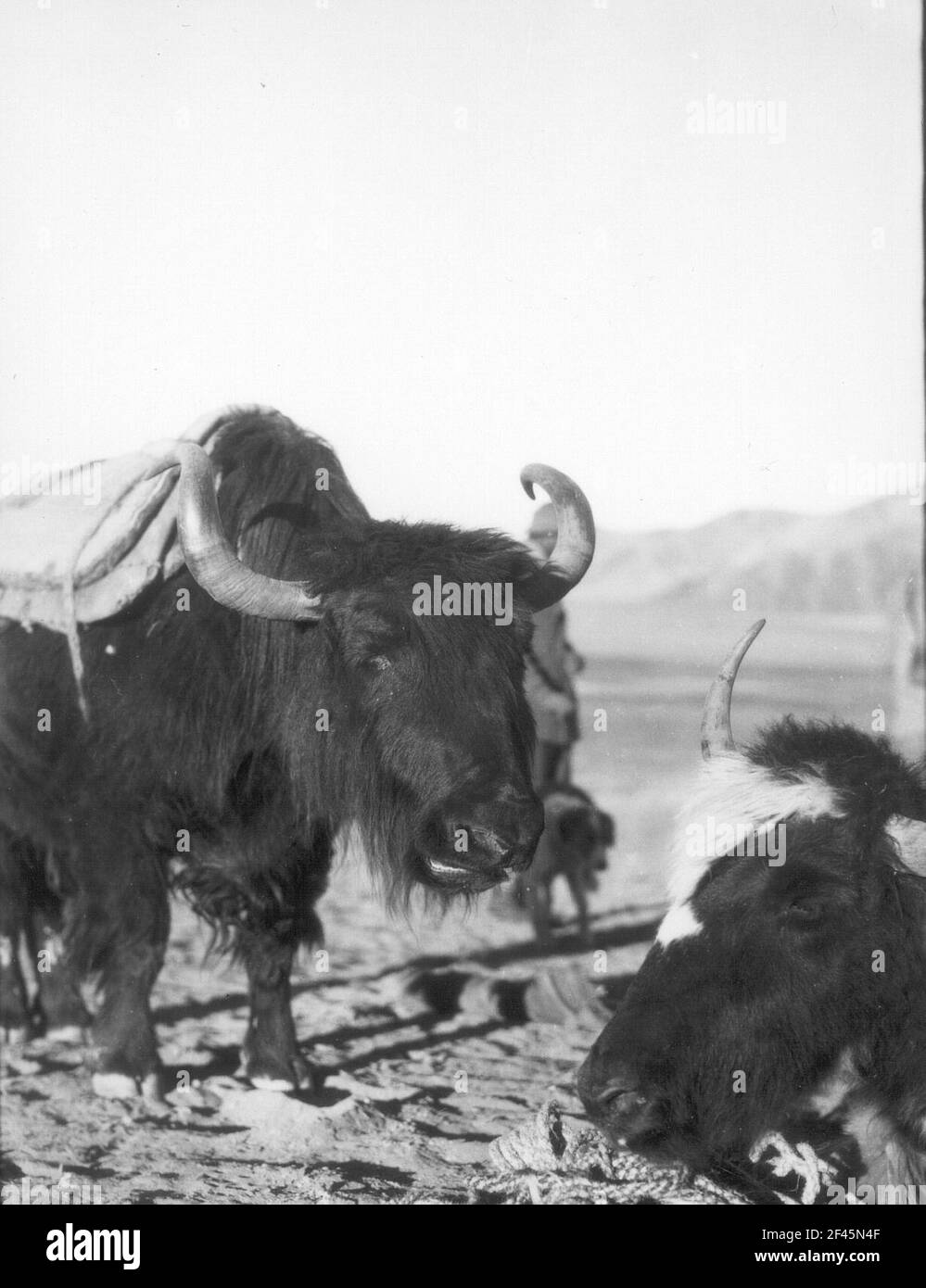 Freshwater expedition Black and White Stock Photos & Images - Alamy