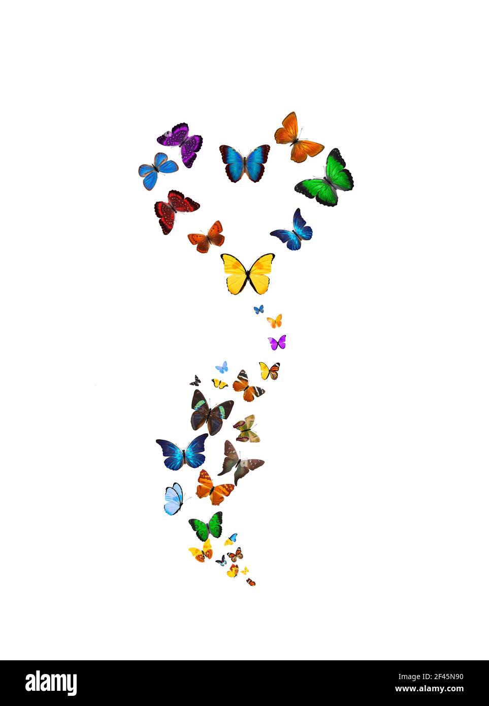 set of flying butterflies in the shape of a flower isolated on white ...