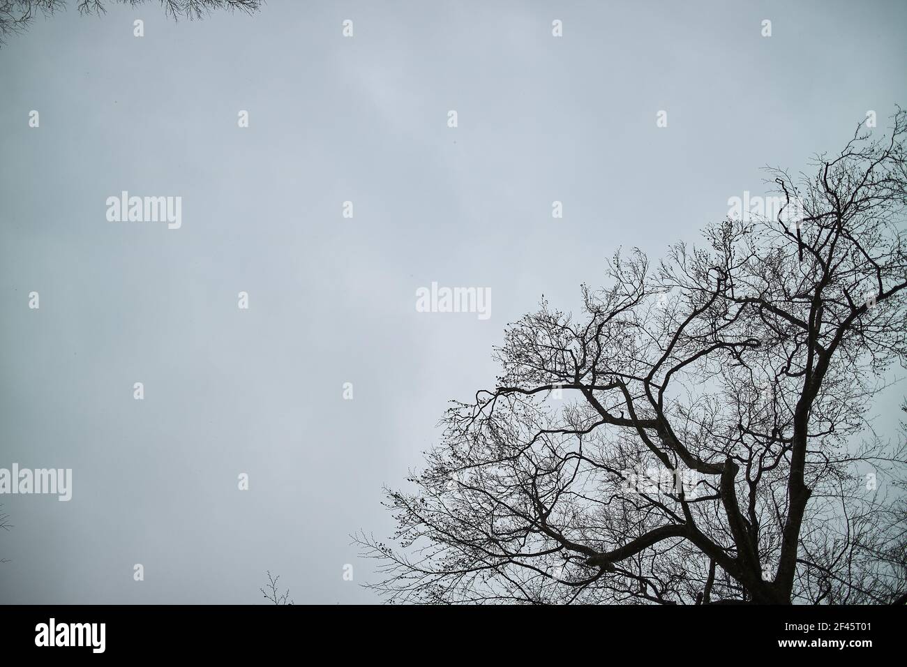 Grey and gloomy hi-res stock photography and images - Alamy
