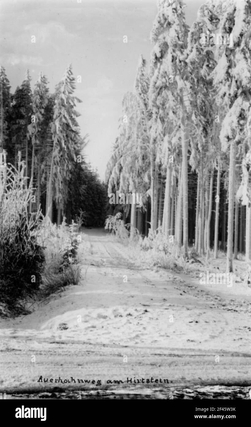 The path is not strewn in winter Black and White Stock Photos & Images ...