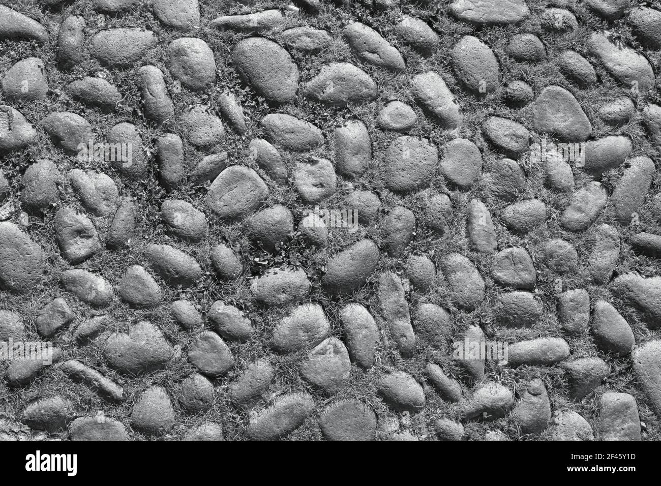 Rounded cobblestone background abstract. Grass between cobbles. Old ...