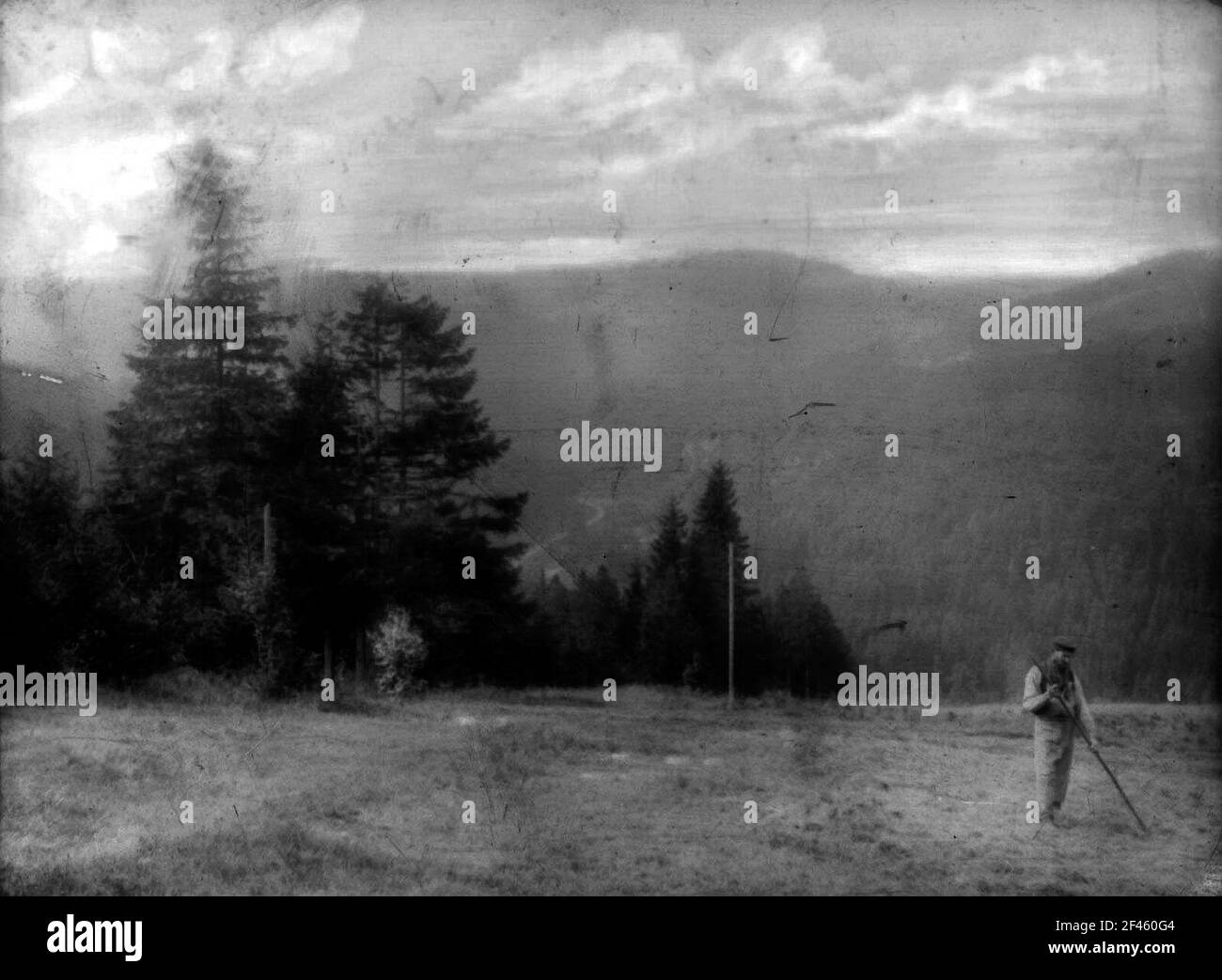 Farming cutting hay Black and White Stock Photos & Images - Alamy
