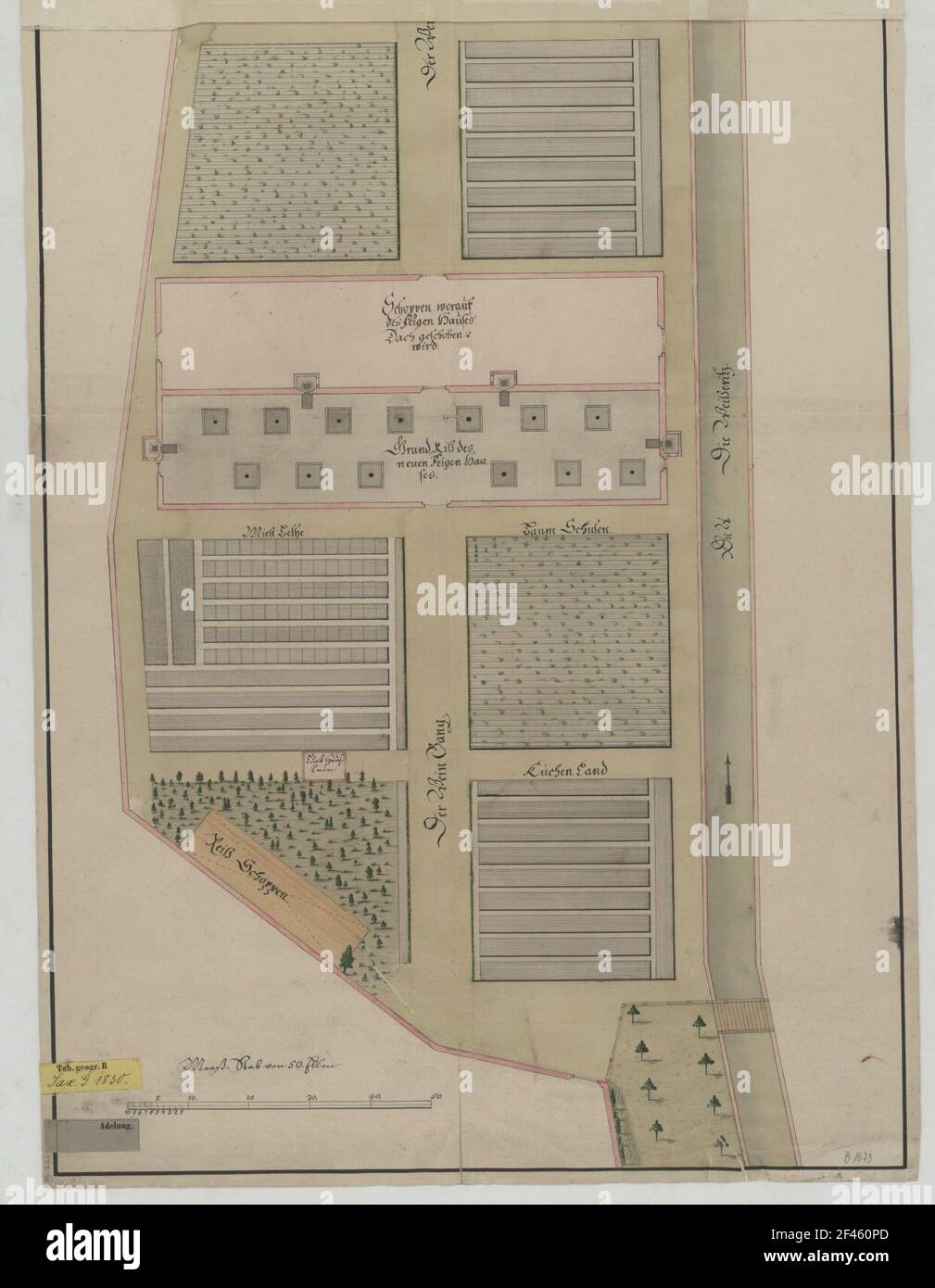 Dresden, garden with greenhouse. Map and design Stock Photo - Alamy