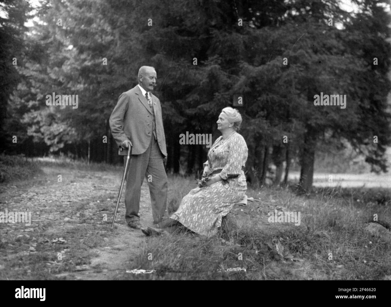 Landscape horizontal landscape horizontal landscape Black and White ...