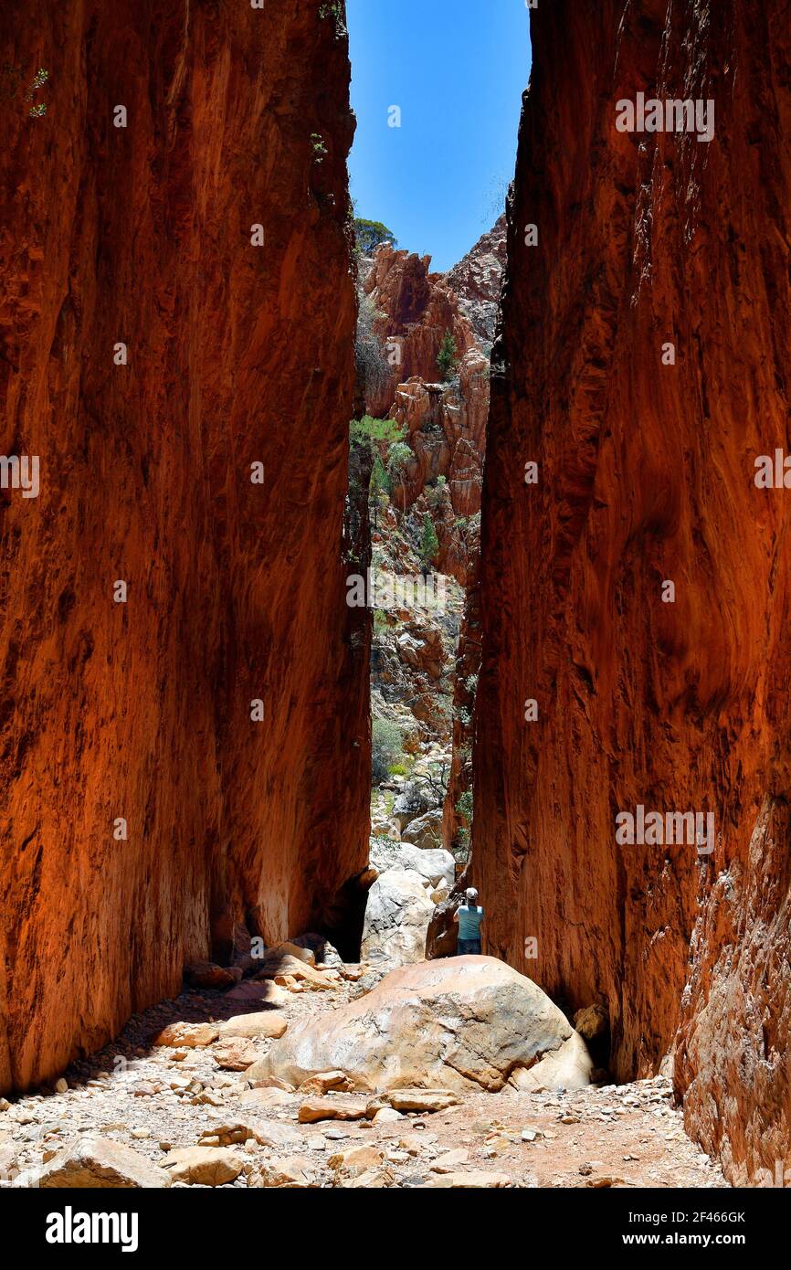Australia, NT, woman make photos into remarkable Standley Chasm in ...