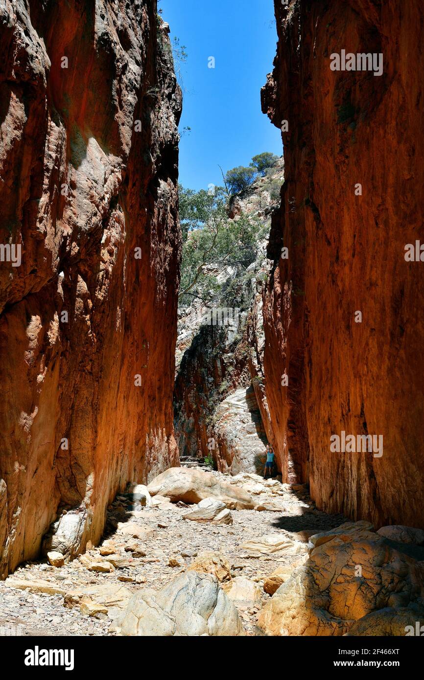 Australia, NT, woman make photos into remarkable Standley Chasm in ...