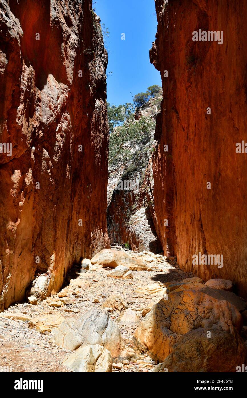 Australia, NT, remarkable Standley Chasm in McDonnell Range national ...