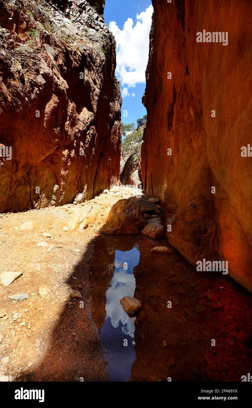 Australia, NT, remarkable Standley Chasm in McDonnell Range national ...