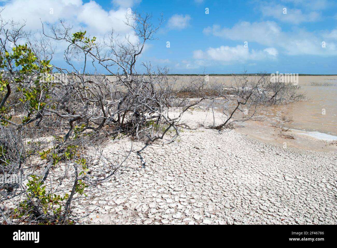 The dry land on a shore of lagoon on Grand Turk island (Turks and ...