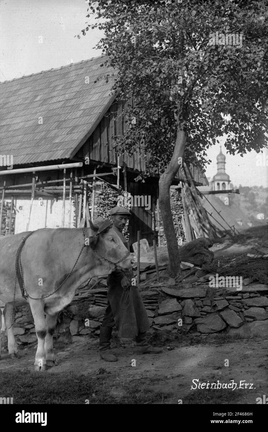 Bauer with cow at the exhaust house of the Kermer-good Stock Photo - Alamy