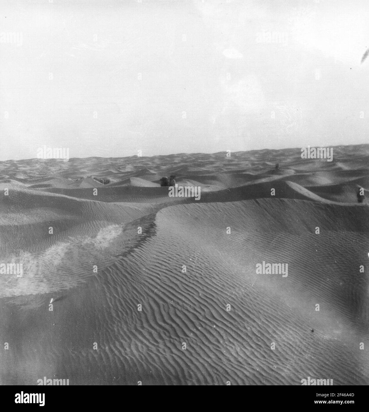 Dandan oilik hi-res stock photography and images - Alamy