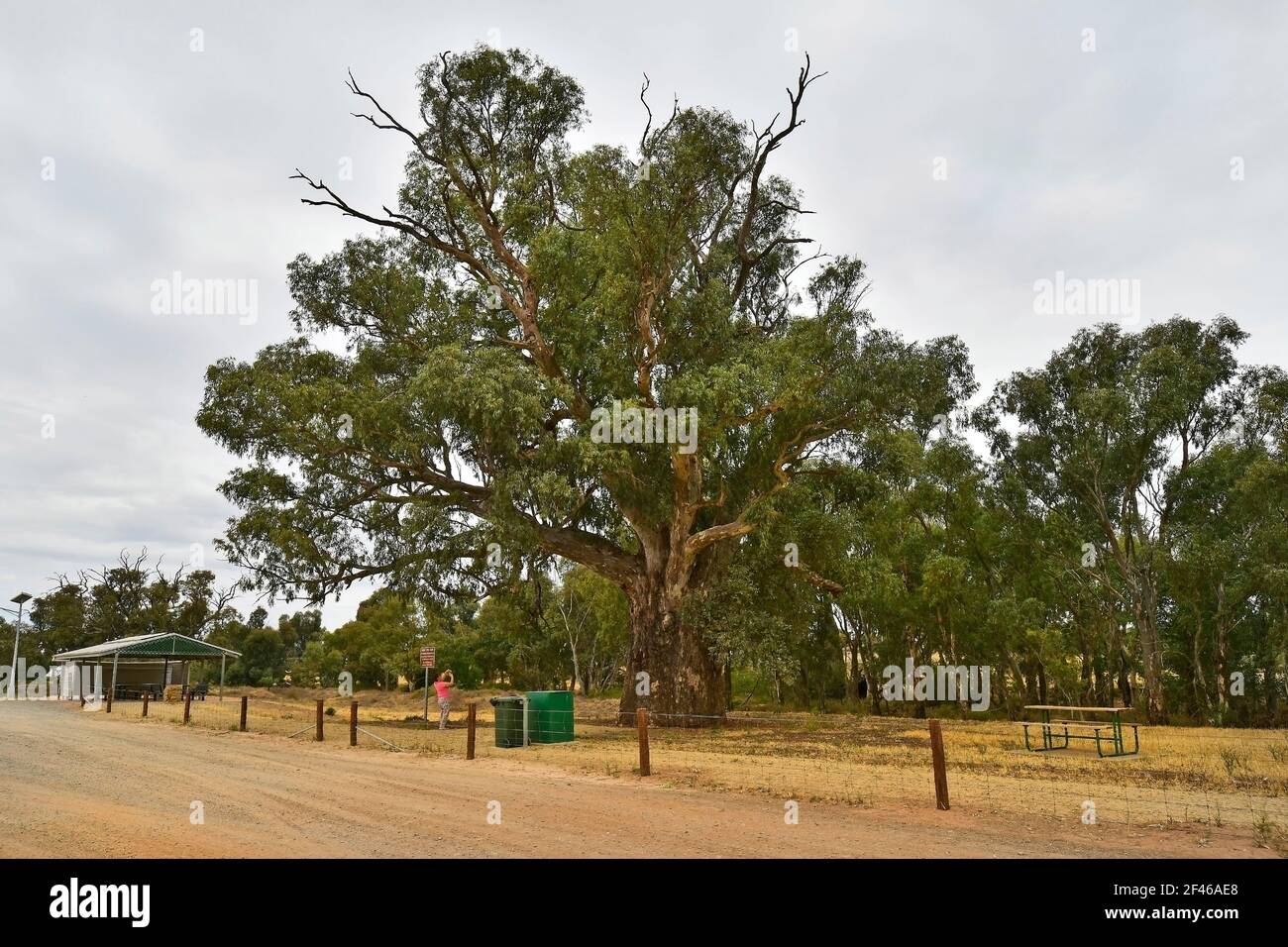 Orroroo, SA, Australia - November 11, 2017: Unidentified woman by ...