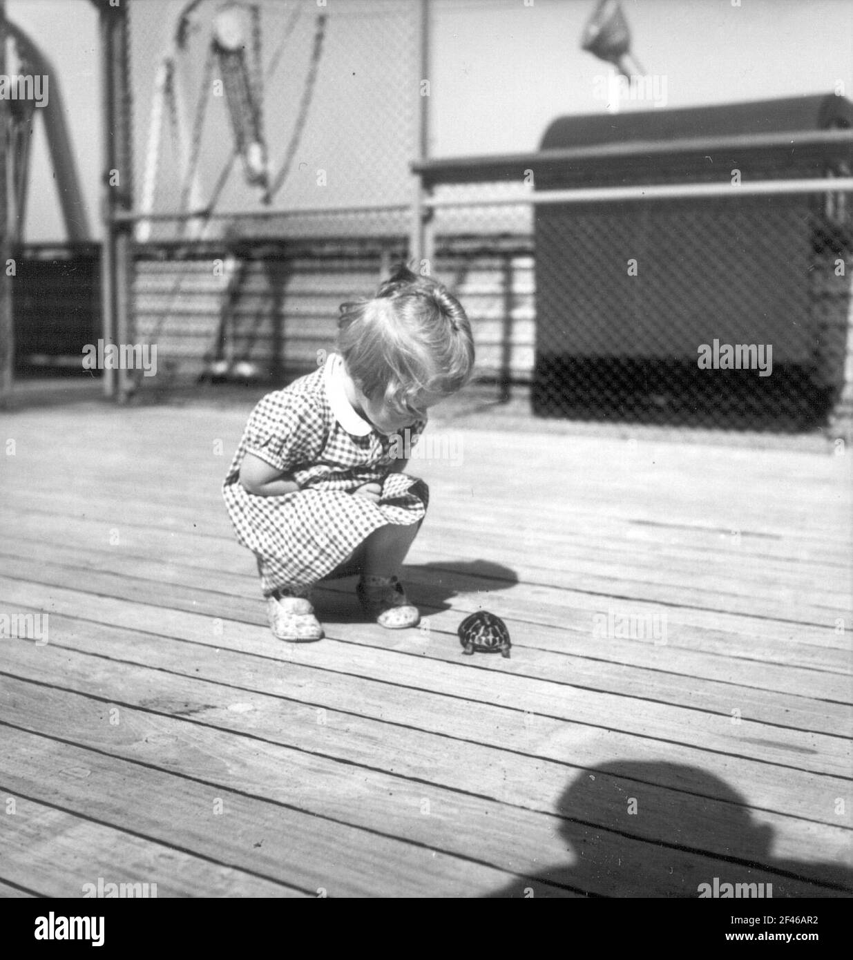 Children's pictures. Little girl with turtle on deck of a passenger ...