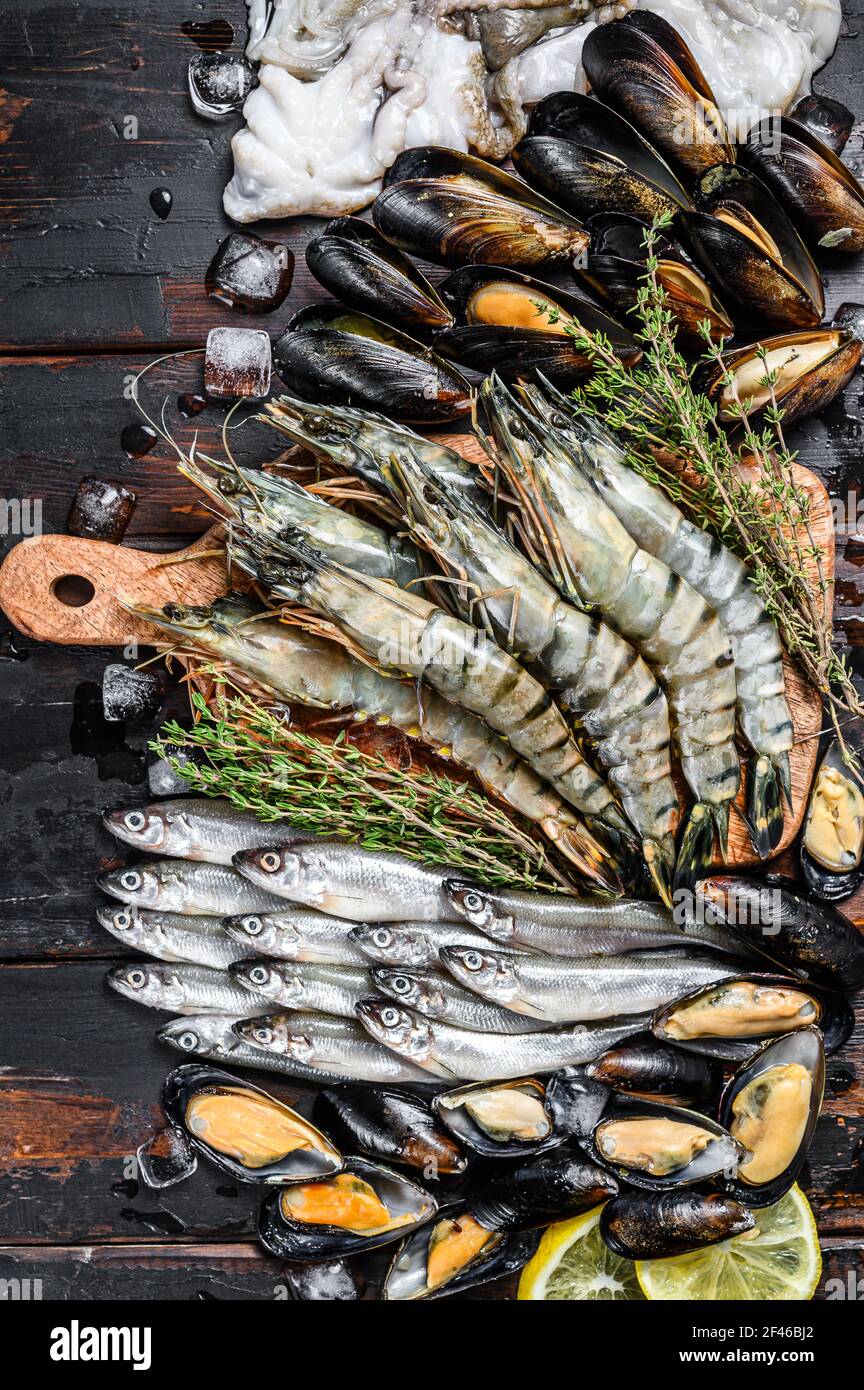 Raw seafood tiger prawns, shrimps, blue mussels, octopuses, sardines ...