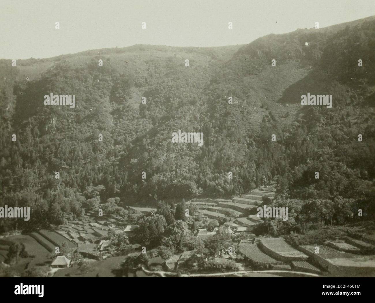 Japan. Rice fields on terraced mountain slopes Stock Photo - Alamy