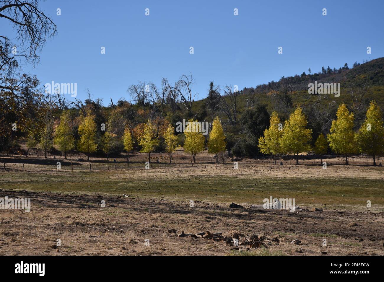 Autumn landscape in the countryside of Alpine village in San Diego ...