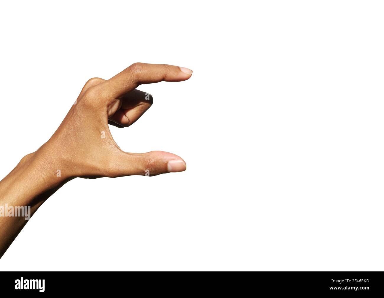 Man hand making gesture holding of something isolated on white ...