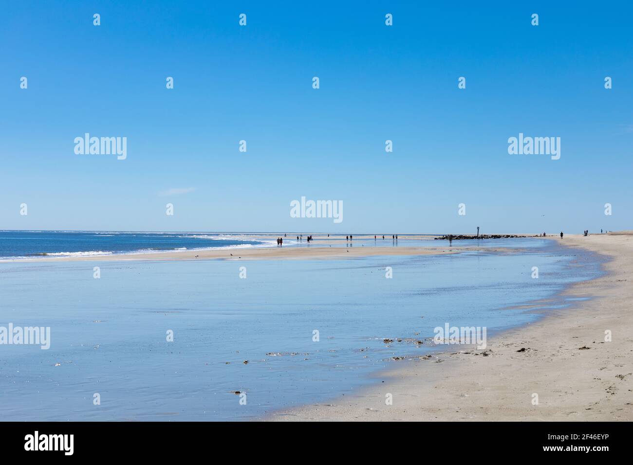 Flat, sandy shoreline with wide tide pools reflecting a bright blue sky ...