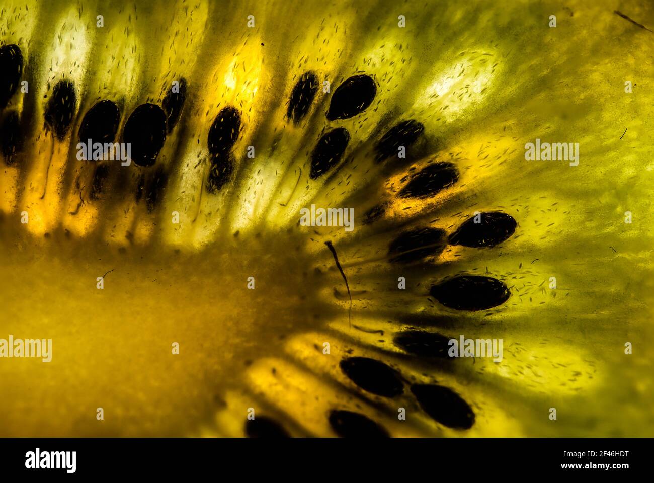 Sliced Kiwi fruit with back light isolated on black background Stock ...