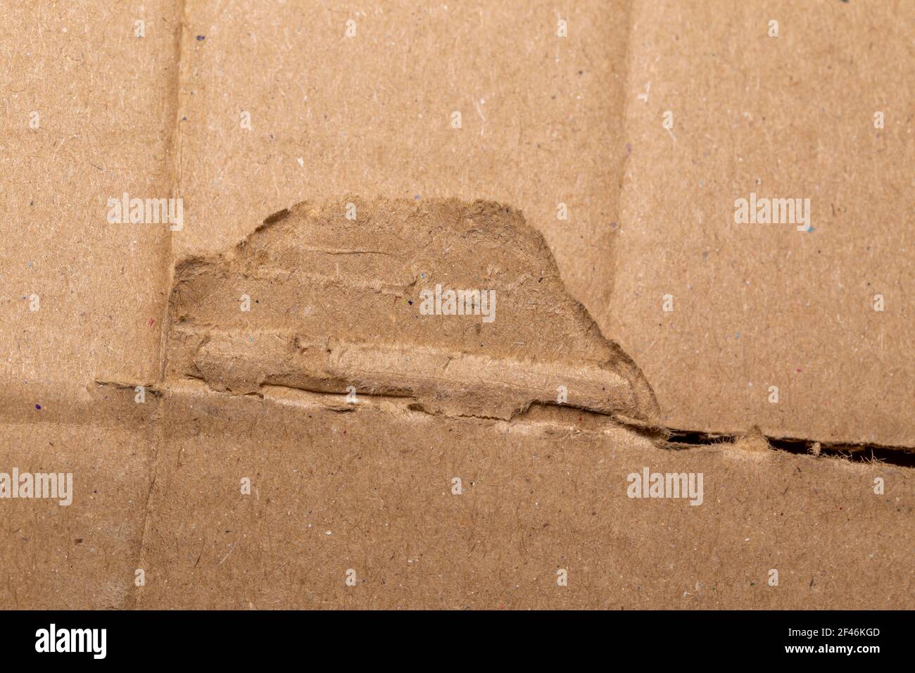 Damaged cardboard box hi-res stock photography and images - Alamy