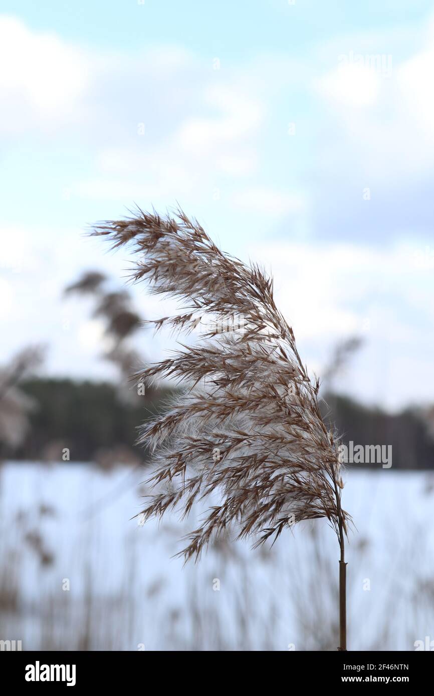 Patterm texture hi-res stock photography and images - Alamy