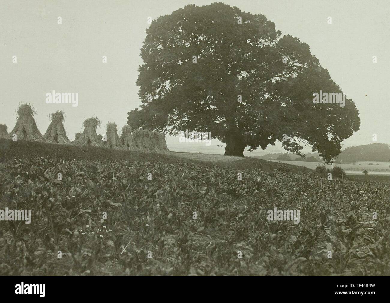 Konigsfeld hi-res stock photography and images - Alamy