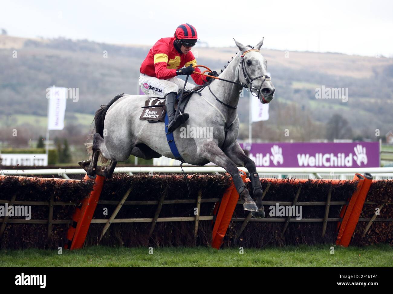 Vanillier horse hi-res stock photography and images - Alamy