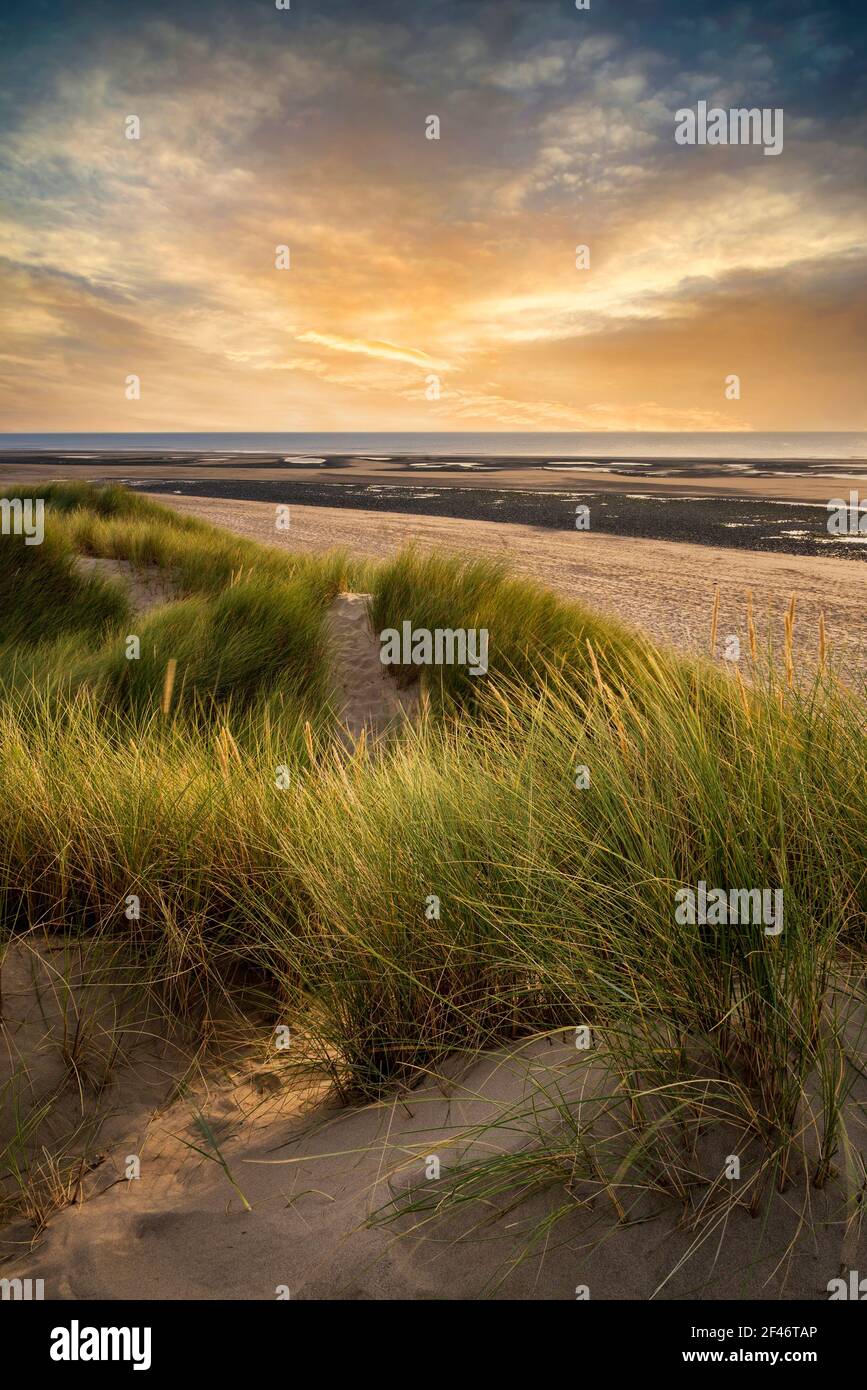 Evening Summer landscape over grassy sand dunes on beach Stock Photo ...