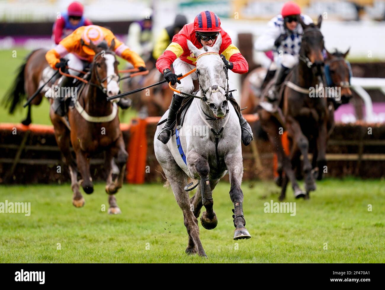 Vanillier horse hi-res stock photography and images - Alamy