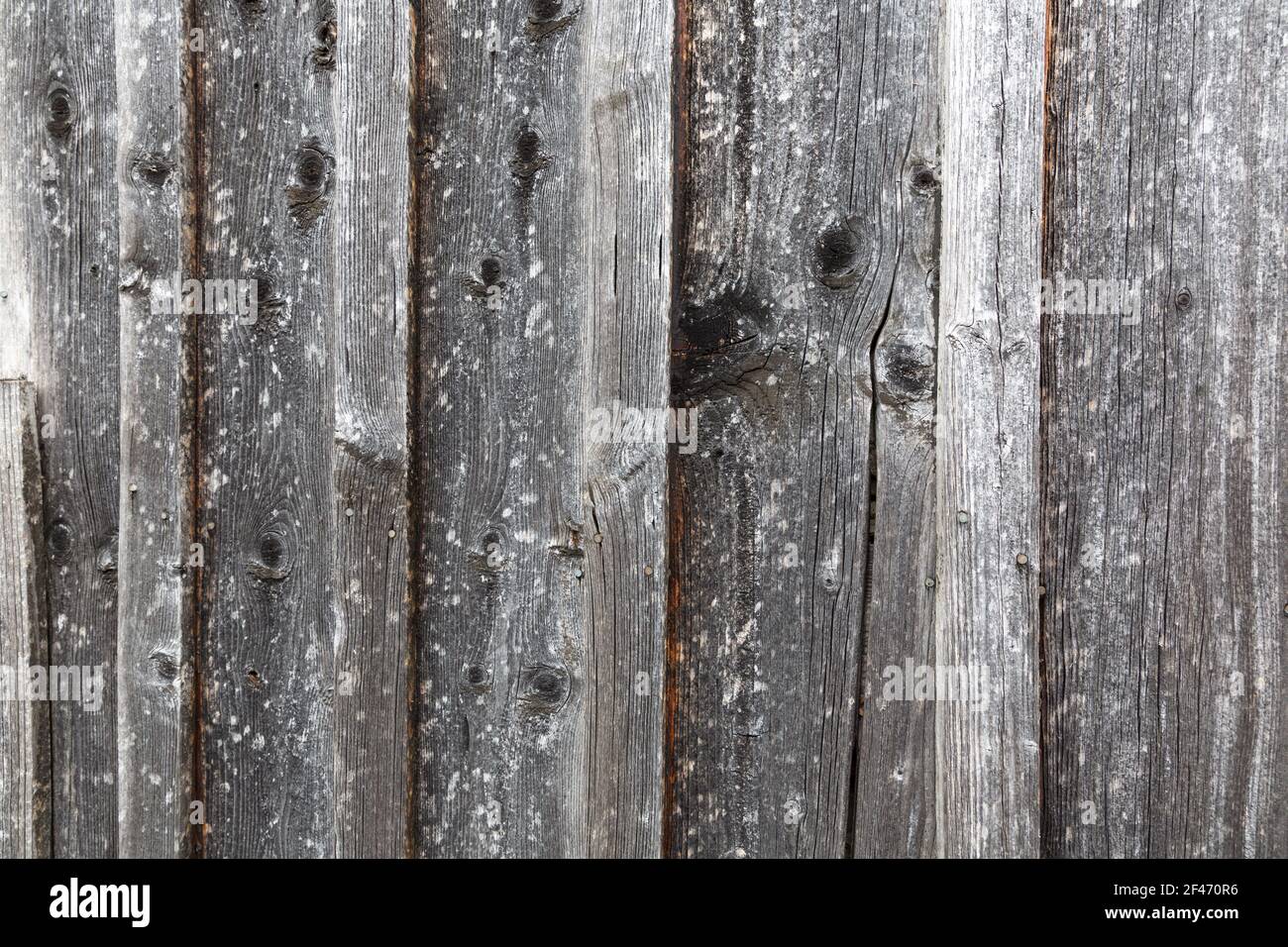 texture: gray wood wall, with distinctive wood texture, this file is ...