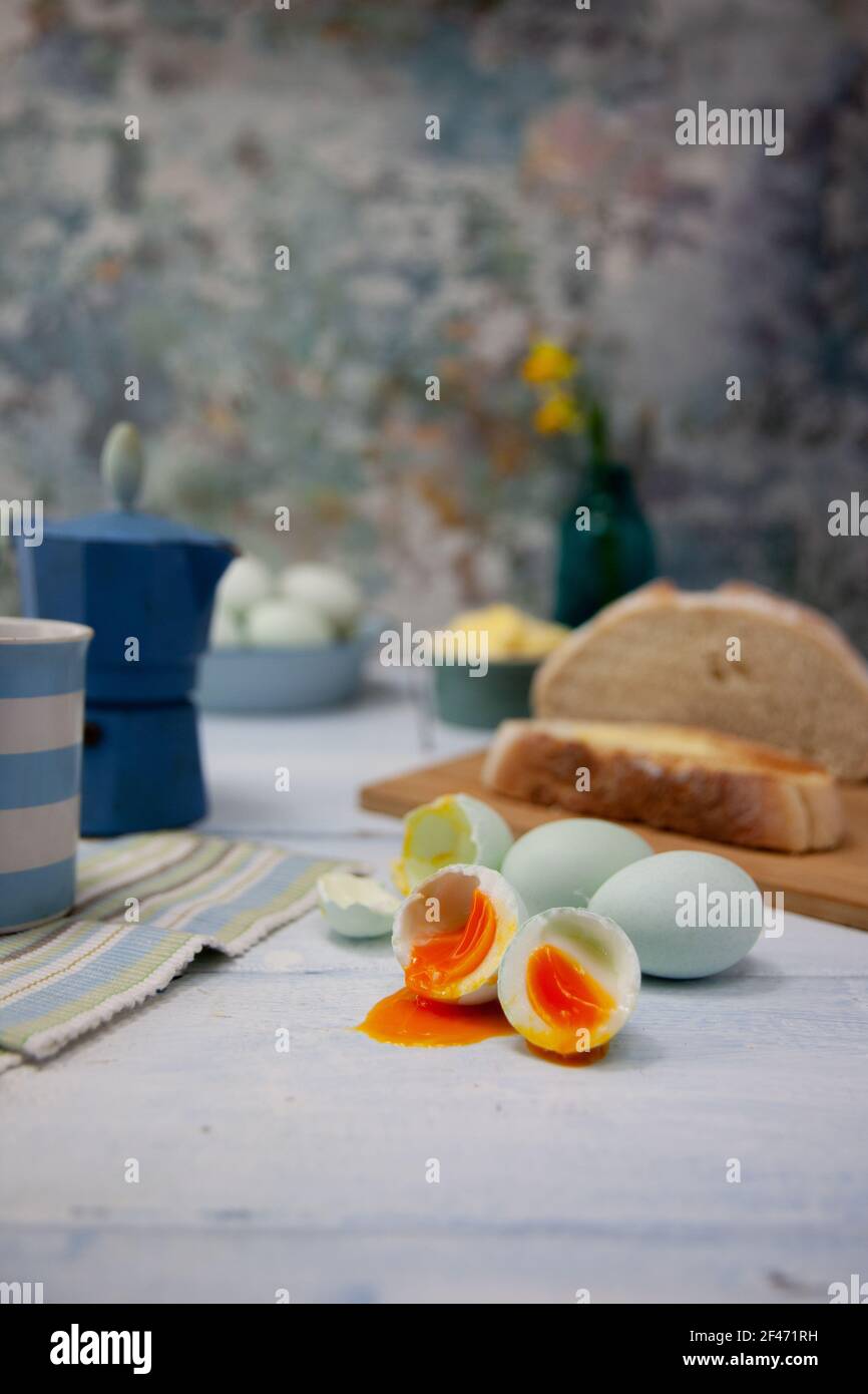 Boiled Blue eggs on a rustic farm table for breakfast Stock Photo - Alamy