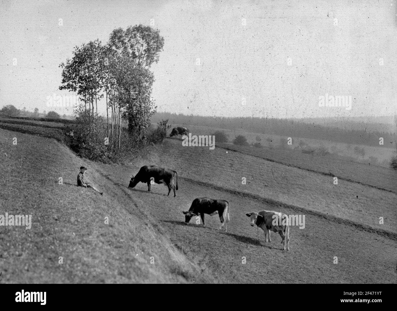 Cows hats at the "Hanse-Mannl Stock Photo - Alamy