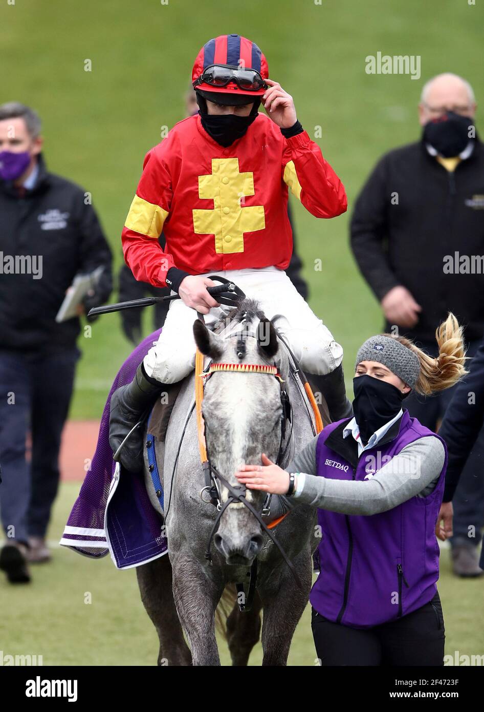 Vanillier horse hi-res stock photography and images - Alamy
