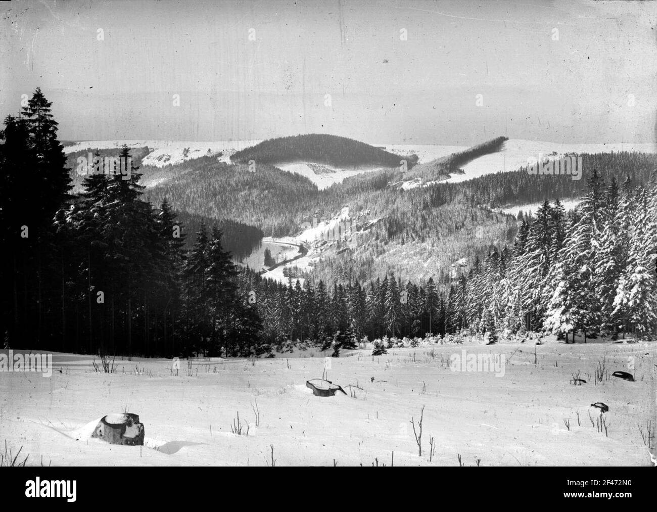 Landscape forest fields in Black and White Stock Photos & Images - Alamy