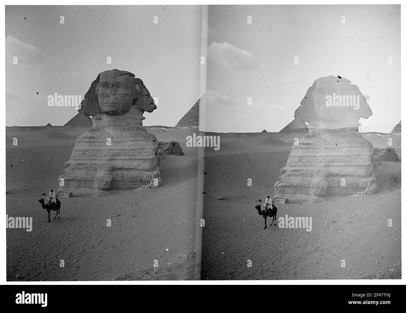 Giza (Egypt). Local leader with camel in front of the sphinx Stock ...
