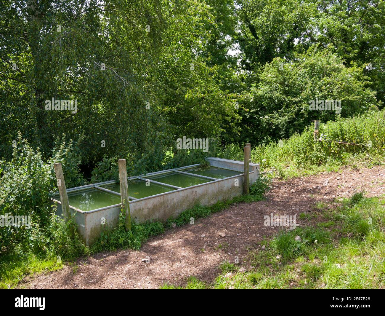 Galvanised steel trough hi-res stock photography and images - Alamy